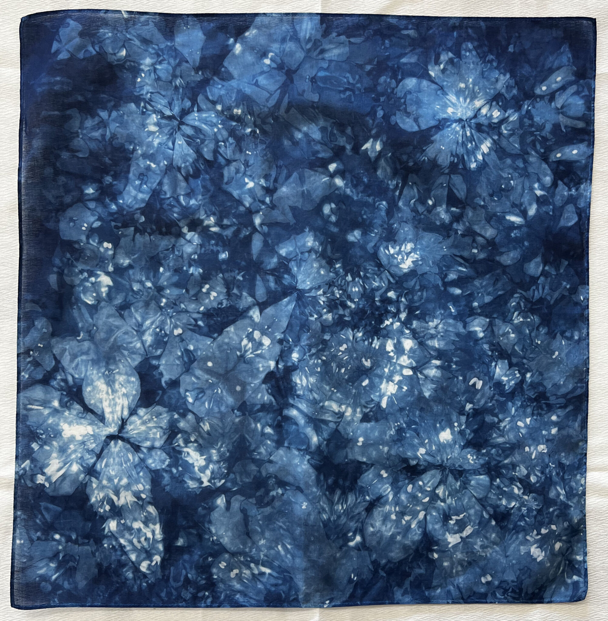Indigo dye workshop | 津軽天然藍染川﨑染工場/Tsugaru Natural Indigo Dyeing Store